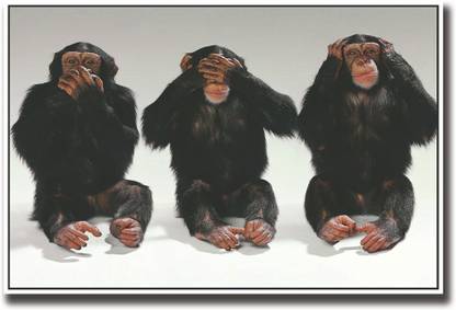 3 Chimpanzee Fine Art Print - Animals posters in India - Buy art, film ...