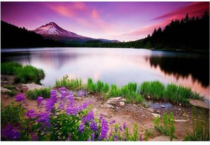 Poster. Nature poster collection of beautiful nature Paper Print - Art ...