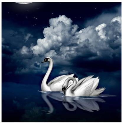 Athah Poster A24Printed Frame Art Sunboard DV Paper Print - Animals ...