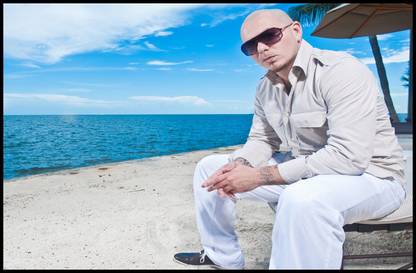 Pitbull Singer Poster Paper Print - Music posters in India - Buy art ...