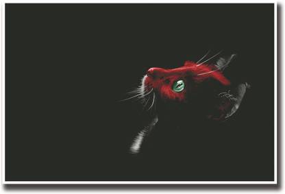 Red face cat Fine Art Print - Animals posters in India - Buy art, film ...