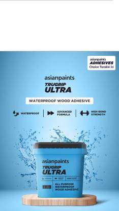 Asian Paints TRUEGRIP ULTRA Adhesive Price in India - Buy Asian Paints ...