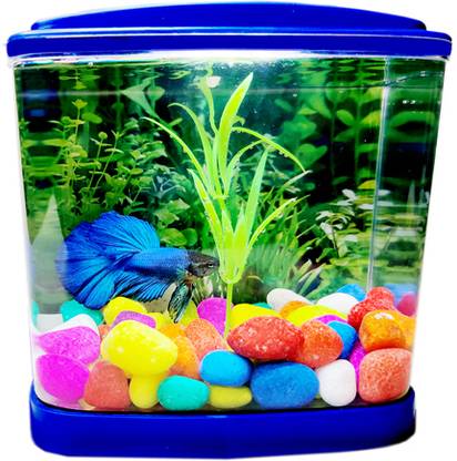 Aquazilla 1ltr Single Betta Aquarium Starter Kits fish Tank with Led ...