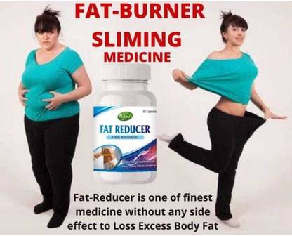 VITASTA FAT REDUCER AYURVEDIC FAT BURNER Price in India - Buy VITASTA ...