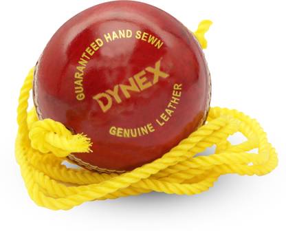 Dynex Leather Cricket Shot Practice Hanging Ball Set with String and ...