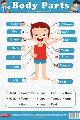 Early Learning Body Parts Educational Charts for Kids | 18 x 23 Inch ...