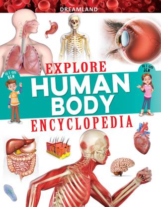 Explore Human Body Encyclopedia: Buy Explore Human Body Encyclopedia by ...