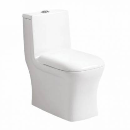 PLUMBER PP Soft Close Seat Cover One Piece WC With Cistern Fittings ...