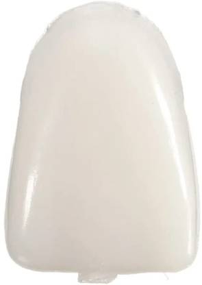 EndoKing Preformed Temporary Crowns - Posterior Dental Elevator Price ...