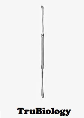 TRU BIOLOGY Freer Periosteal Elevator Surgical Instrument Dental ...