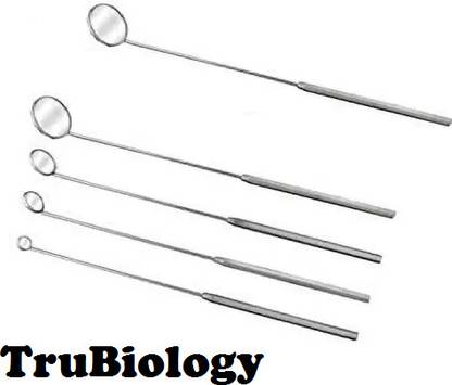 TRU BIOLOGY LARYNGEAL MIRROR (PACK OF 5) Dental Elevator Price in India ...