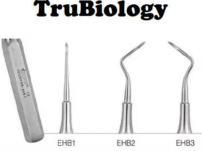 TRU BIOLOGY Root Elevators Root Tip Pick, Set of 3 pc Dental Elevator ...