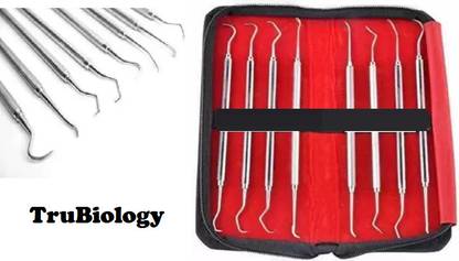 TRU BIOLOGY DENTAL Hand Scaler, Set of 8pc Dental Elevator Price in ...