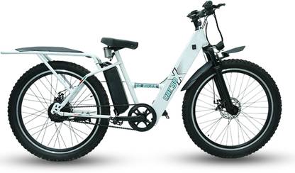 SS Bikes CargoX Heavy Duty Electric Cycle | 100 km Range | 36V/10Ah ...