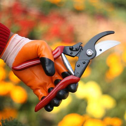 SHAHJI Heavy Duty Plant Cutter For Home , Scissor, Bypass Pruner ...