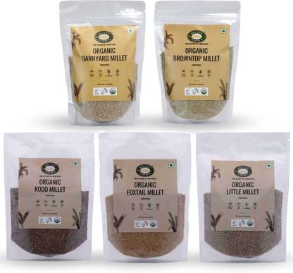 MILLET AMMA Millet grain combo- Kodo, Foxtail, Browntop, Little millet ...