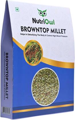 NutriOwl BrownTop Millet Grains|Natural Grains | Andu Korralu | Korale ...