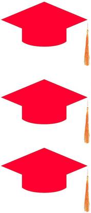 AIS Convocation Cap For fancy Dress Compitition Price in India - Buy ...