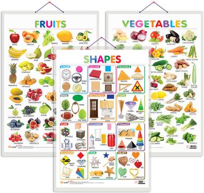 Set of 3 Fruits, Vegetables and Shapes Early Learning Educational ...
