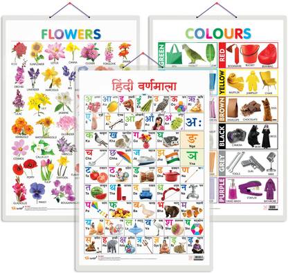 Set of 3 Flowers, Colours and Hindi Varnamala Early Learning ...