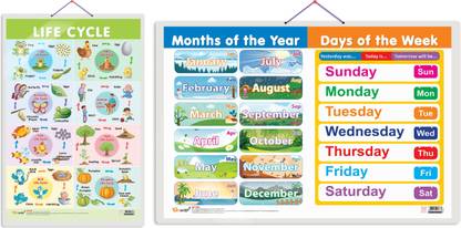 Set of 2 Life Cycle and MONTHS OF THE YEAR AND DAYS OF THE WEEK Early ...