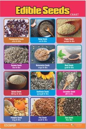 SADAFAL Edible Seeds Chart for Kids, Chart for Kids Learning (11.5 x 17 ...