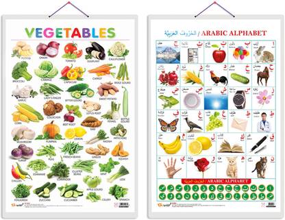 GO WOO Pack of 2 Vegetables and Arabic Alphabet (Arabic) Educational ...