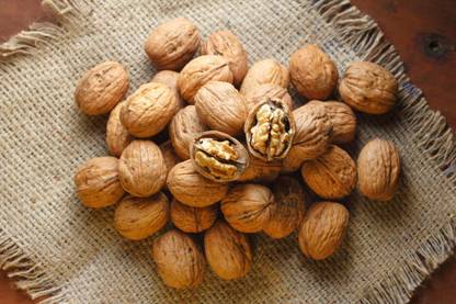 ZION Natural Inshell Walnuts Akhrot | New Fresh Crop Inshell Walnut ...