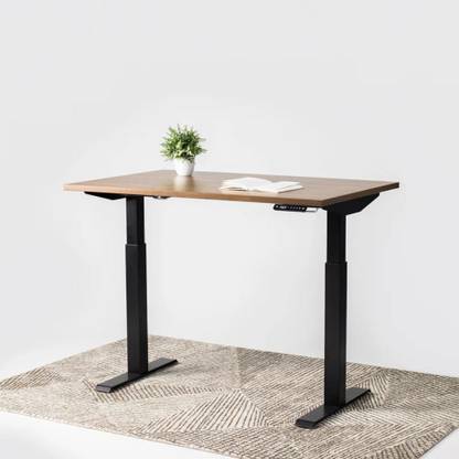 TEKAVO Single Motor Height Adjustable Desk for Home & Office Table ...