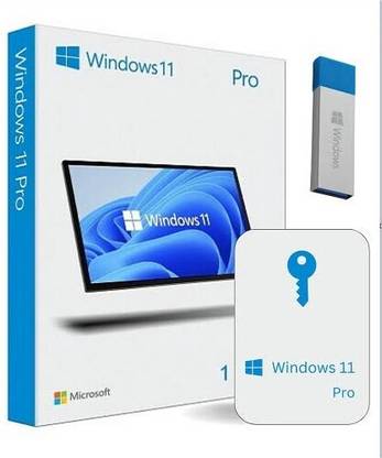 MICROSOFT Windows 11 Professional Box Retail Pack USB 3.0 - English ...