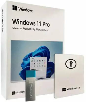 MICROSOFT Windows 11 Professional Box Retail FPP Pack USB 3.0 ...