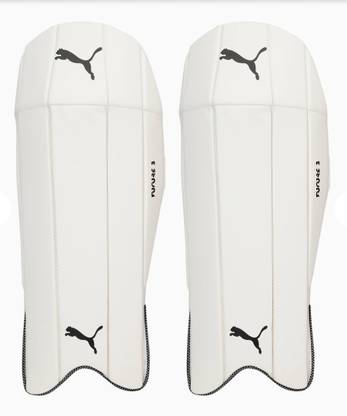 PUMA Future 20.3-( 17+) Men's (39 - 43 cm) Wicket Keeping Pad - Buy ...