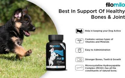 Filomilo Dog Chewable Calcium Tablets 60's 0.12 kg Dry Adult, Senior ...