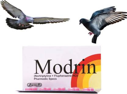 Potensy Modrin Tablets For Pigeon Flying 10 tablet Pet Health ...