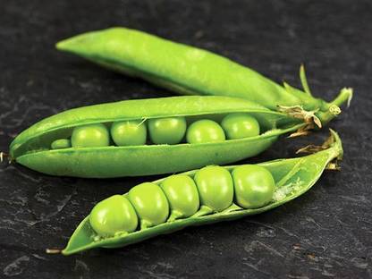 MYLAWN Green Peas Matar Seed Price in India - Buy MYLAWN Green Peas ...