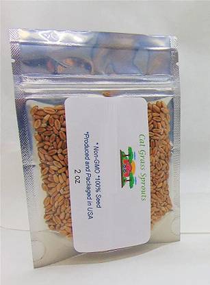WILLVINE TLX-174 Hard Red Winter Wheat Seed Price in India - Buy ...