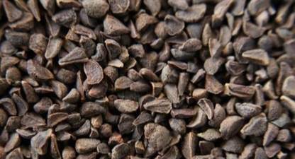 Aromatic Harmal seeds, Peganum harmala, wild rue Seed Price in India ...