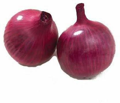 KANAYA Onion Red Kanda Vegetable Seed Price in India - Buy KANAYA Onion ...