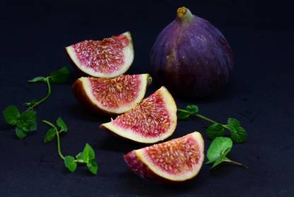 seedx Hybrid Fig, Anjeer Plant seeds, Ficus carica, Anjeer Seed Price ...