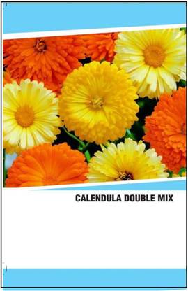 VibeX Hybrid Calendula Double Mix Seeds(60 Seeds) Seed Price in India ...