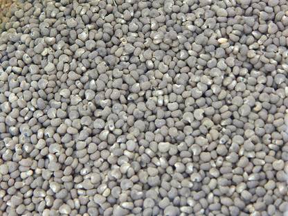 Urancia Muskdana Ambrette Abelmoschus Moschatus 100g Seed Price in ...