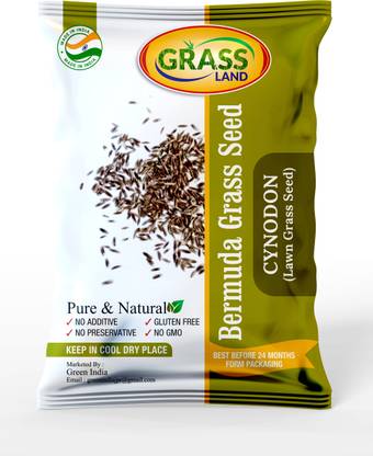 grassland Bermuda Grass Seed, Doob Grass Seed, Selection Grass, CARPET ...