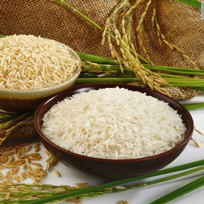 PMA Basmati Paddy, Basmati Rice Seed-1109 for Farming & Agricalture ...