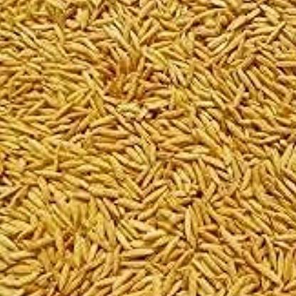 SREE Basmati Paddy, Rice Seed for Farming & Agriculture, 1Kg Per Packet ...