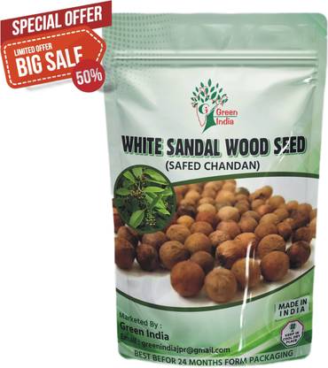 Green India White Sandalwood Tree 300 Gram, White Sandal Wood Seed ...