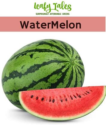 TRICONE Simba Hybrid F1 Watermelon Tarbuj Outdoor Gardening 700 Seeds ...