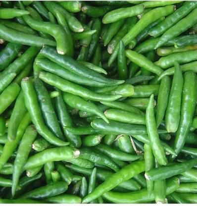 greenfarm NXC- Long Green Chilli / Mirchi seeds , Best Quality ,230 X ...