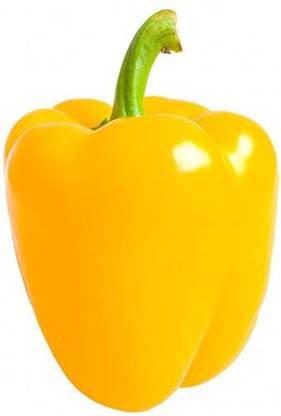 Aywal Yellow Capsicum (shimla mirch) Seed Price in India - Buy Aywal ...