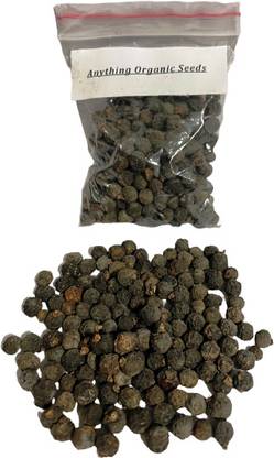 ANYTHING CREATORS Desi and Hybrid Seed Mix of Spiny Gourd, Kankoda ...