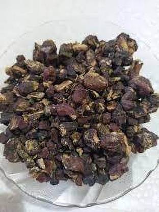 Natures Yard GOND MOCHRAS - BOMBAX CEIBA - PHOOL SUPARI Seed Price in ...